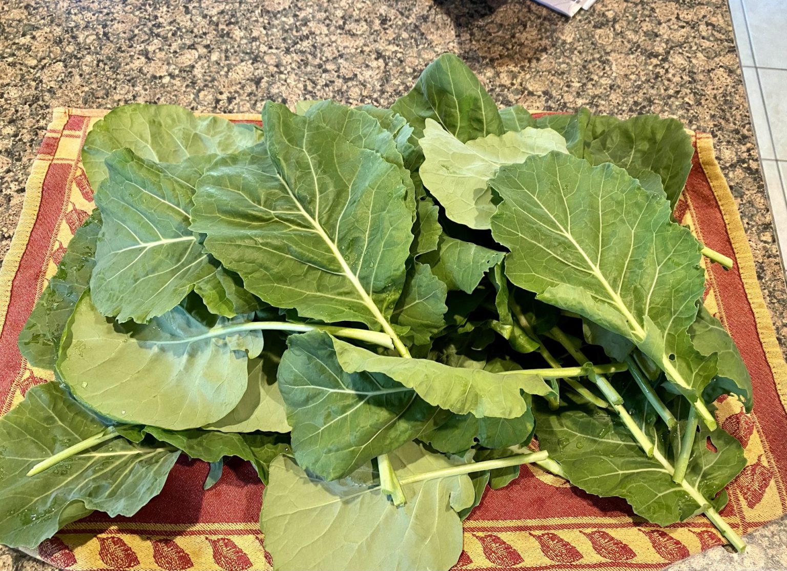 How to Grow Collard Greens - Heirloom Grown