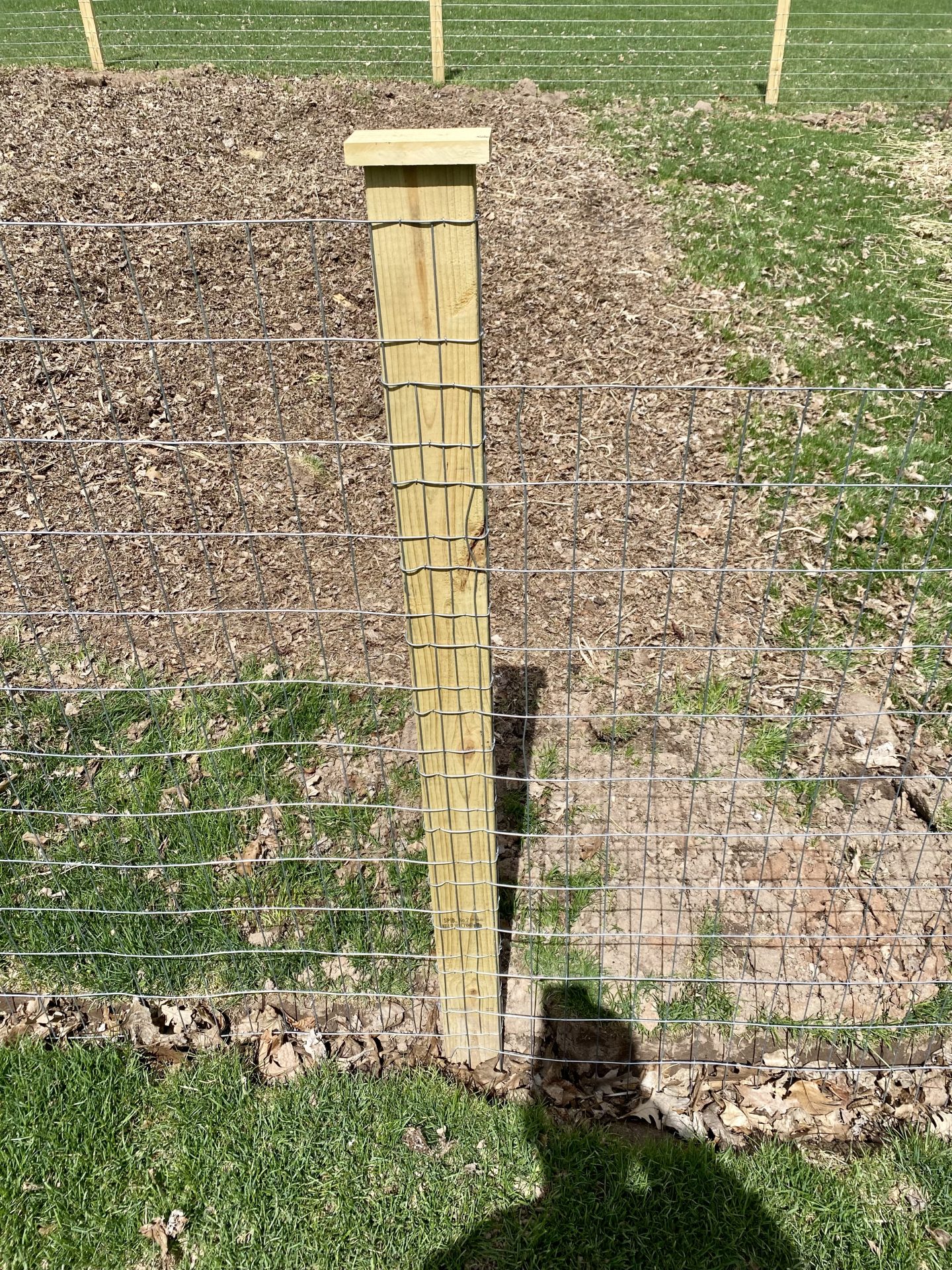 Vegetable garden fence ideas: How I built mine - Heirloom Grown