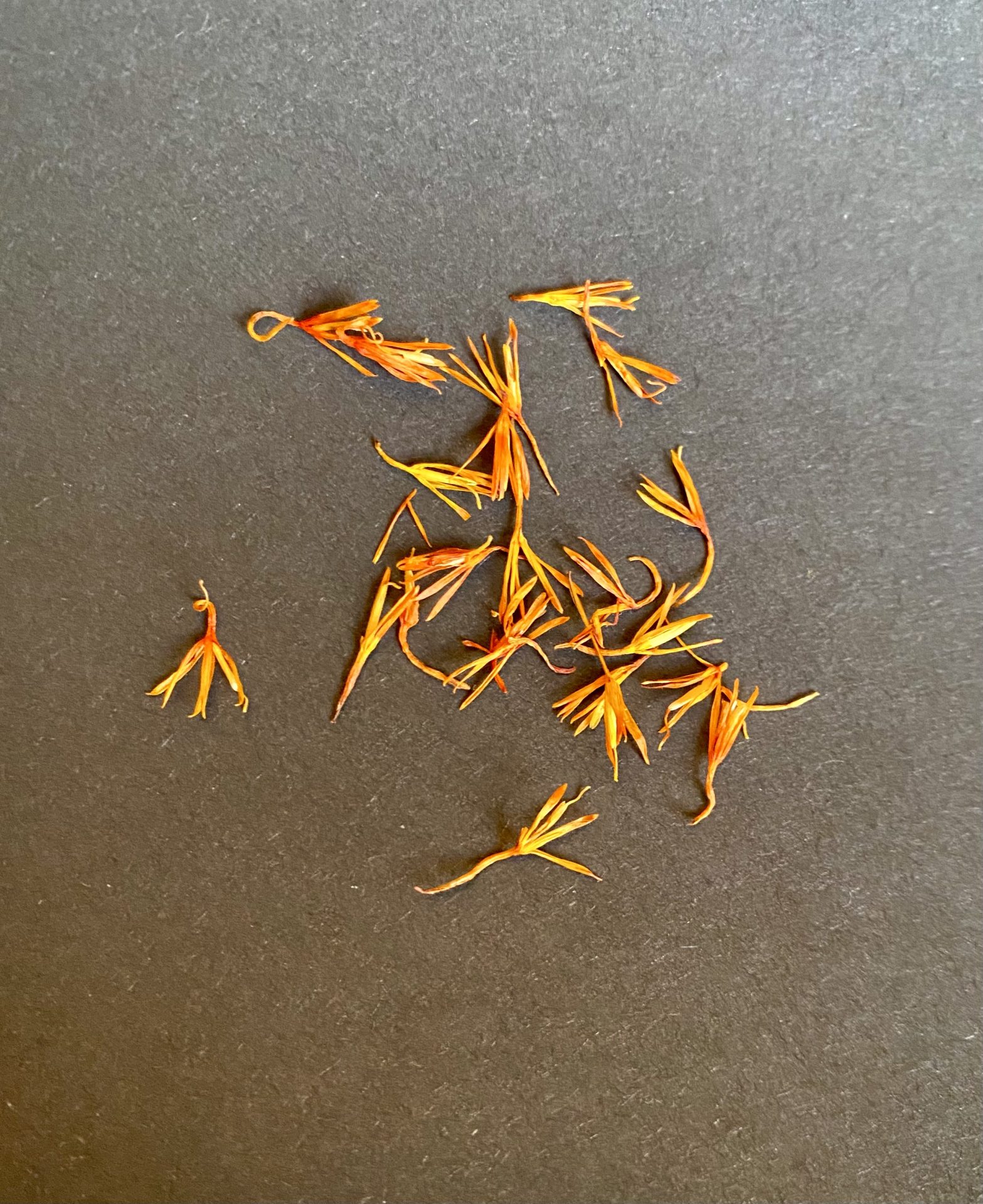 How to Grow Safflower - Heirloom Grown