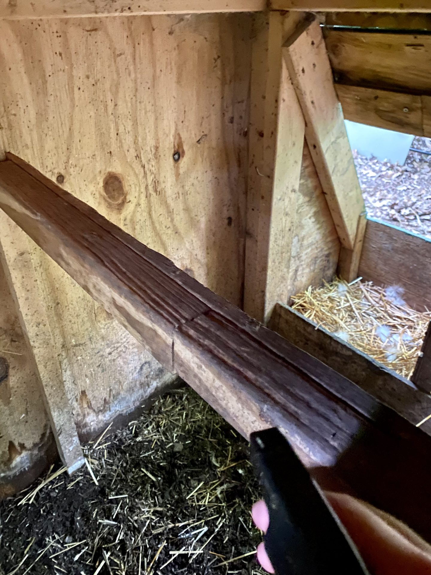 How to clean a chicken coop with a dirt floor - Heirloom Grown