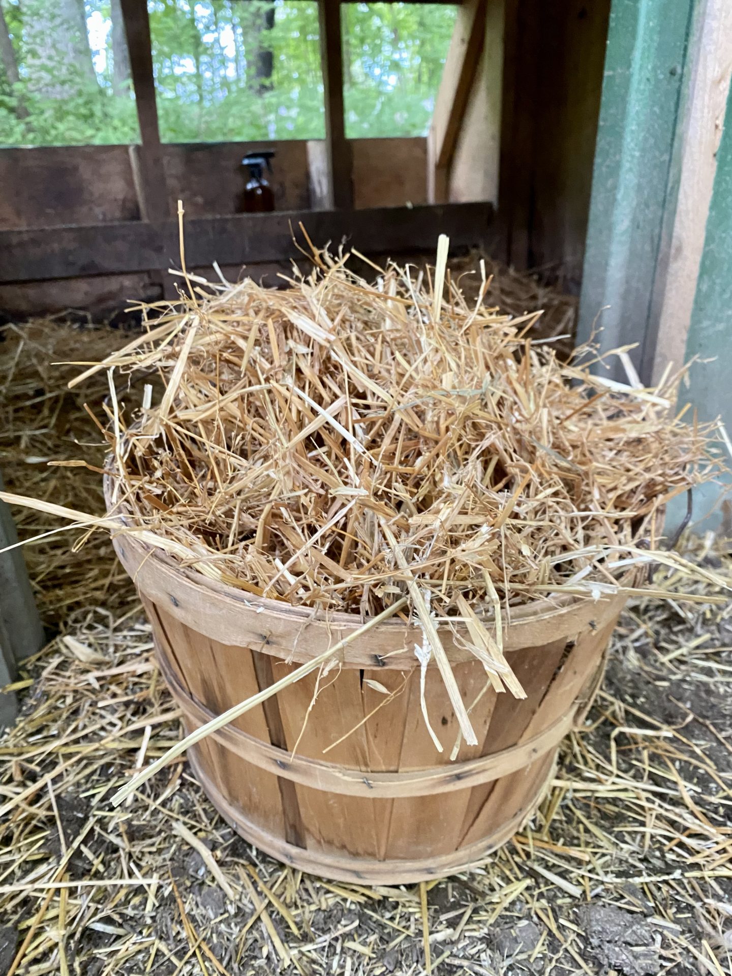 How to clean a chicken coop with a dirt floor - Heirloom Grown