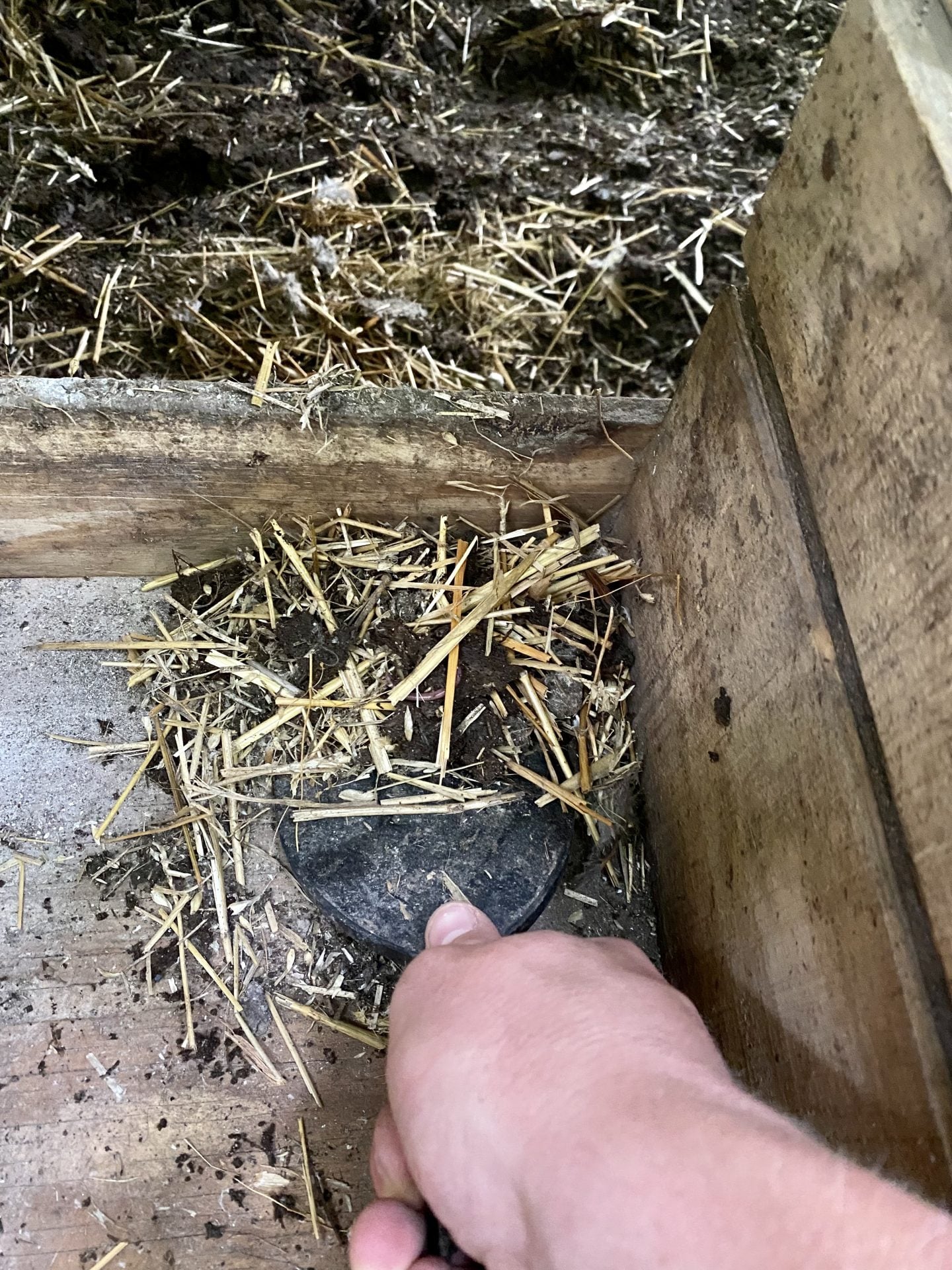 How to clean a chicken coop with a dirt floor - Heirloom Grown