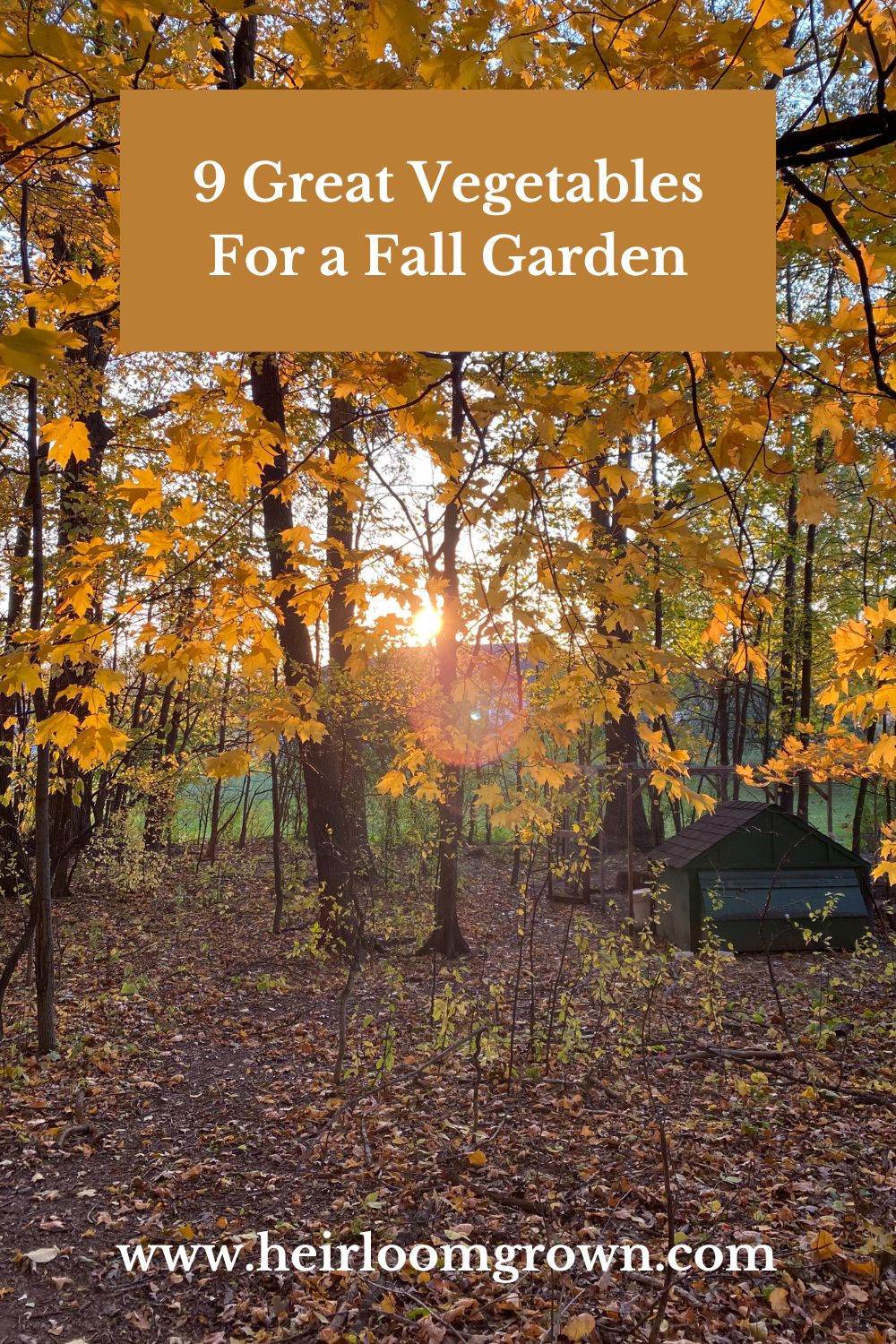 9 Great Fall Garden Plants - Heirloom Grown