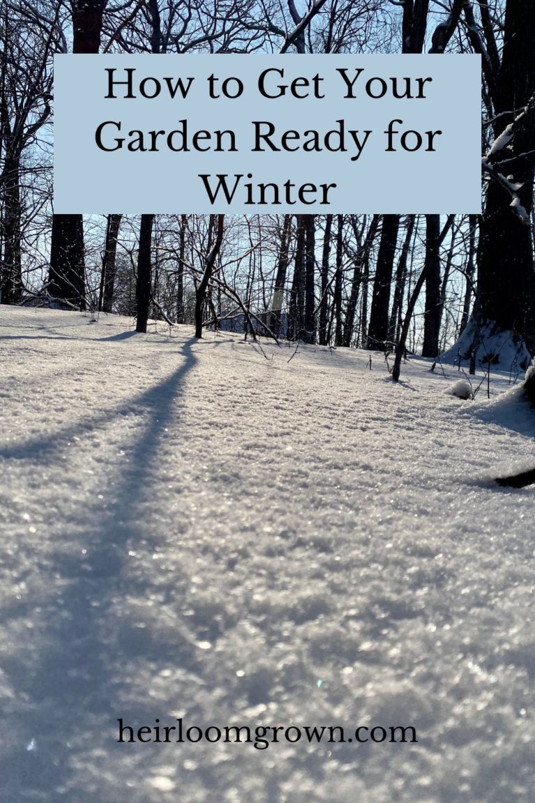 How to Get Your Garden Ready for Winter - Heirloom Grown