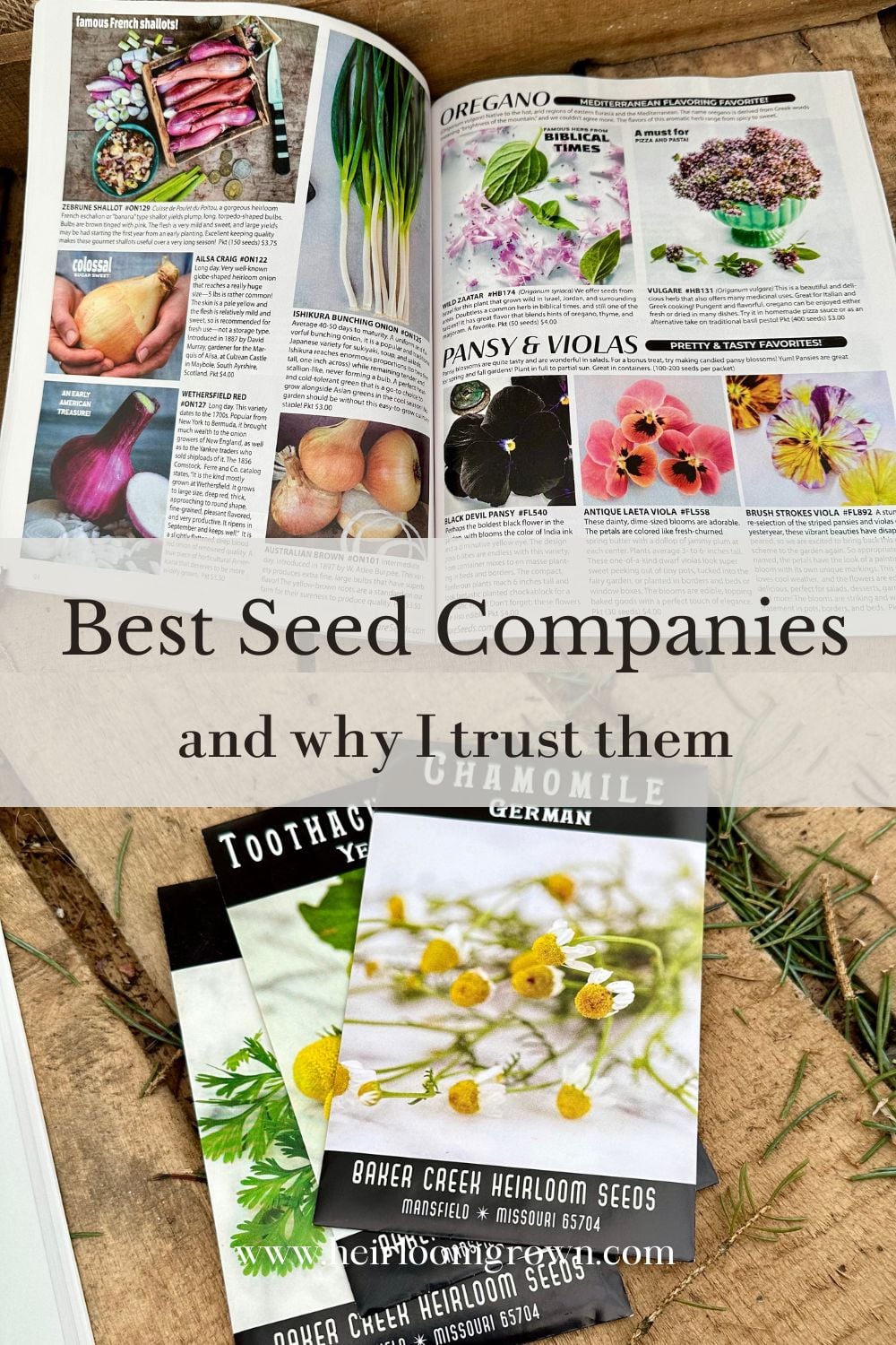 Best Garden Seed Companies - Heirloom Grown