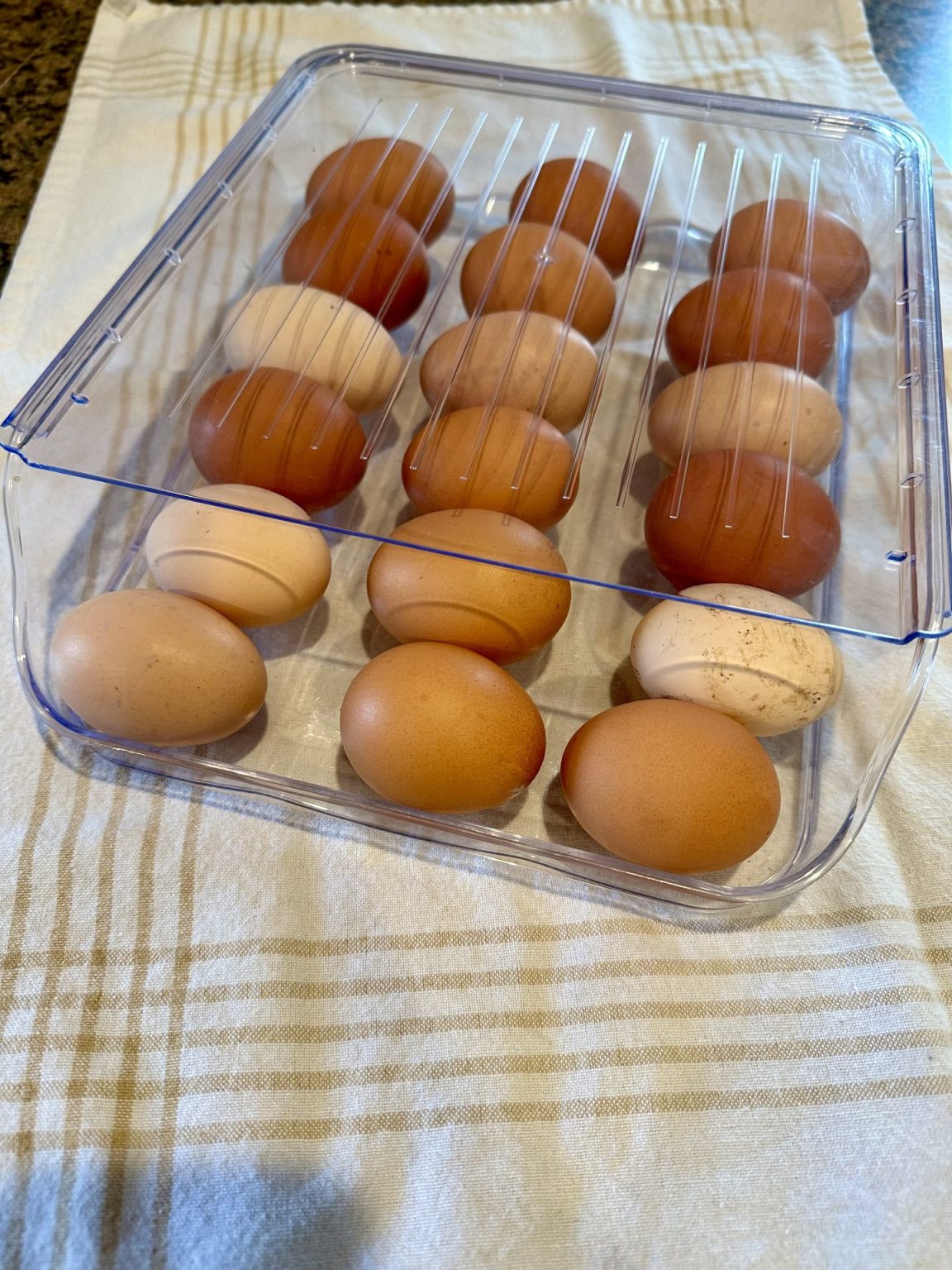 How To Store Fresh Chicken Eggs - Heirloom Grown