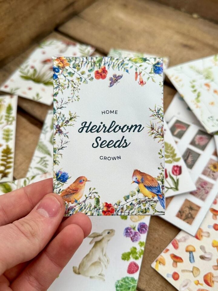 How To Get Free Heirloom Seeds - Heirloom Grown