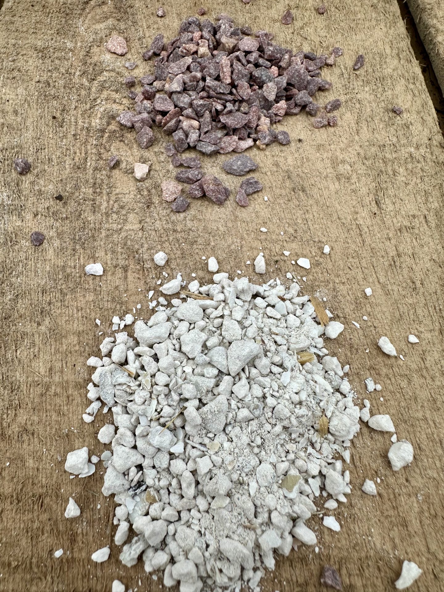 What is grit for chickens and why do they need it - Heirloom Grown