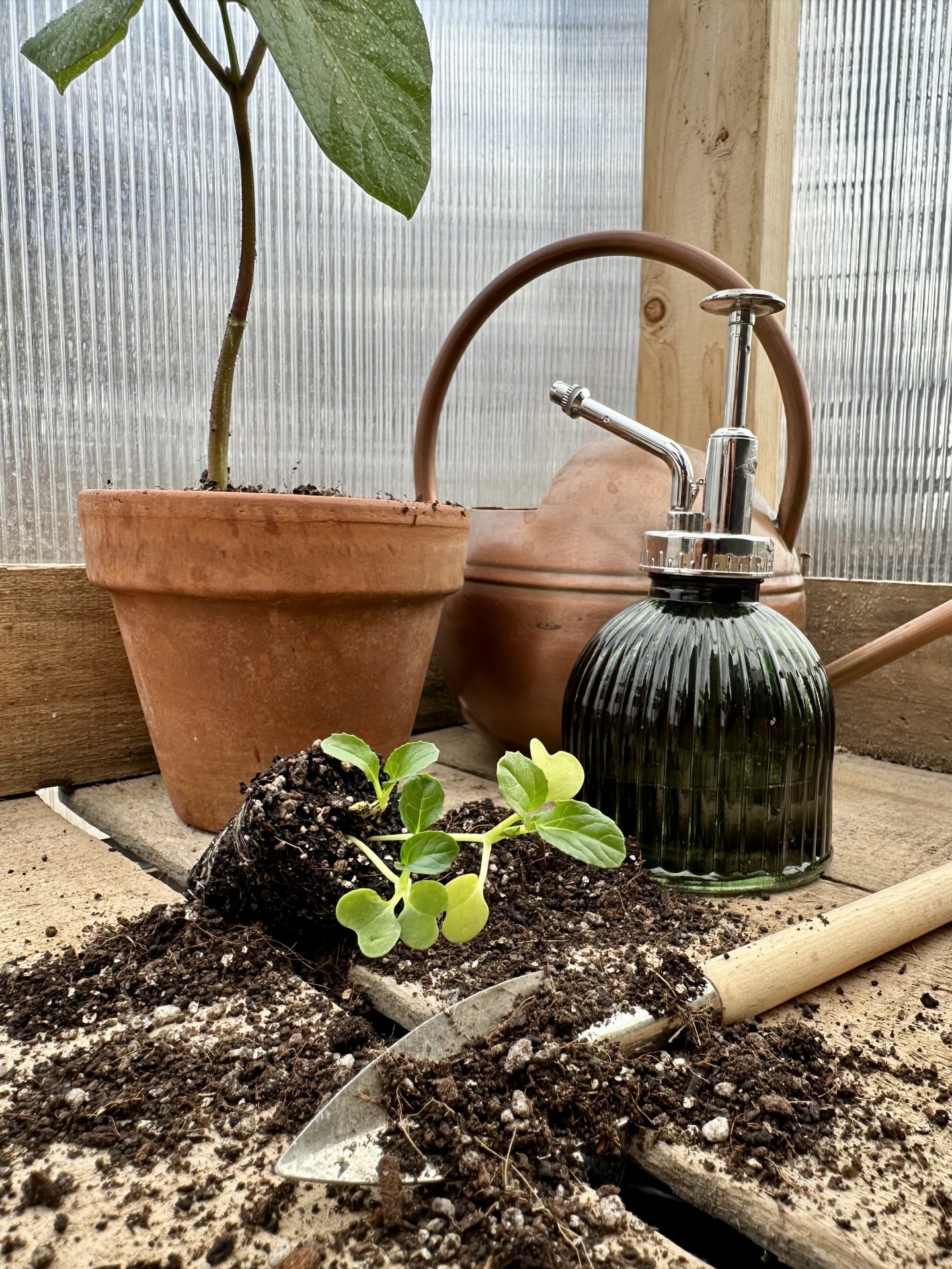 Best DIY Potting Soil Mix For Seedlings - Heirloom Grown