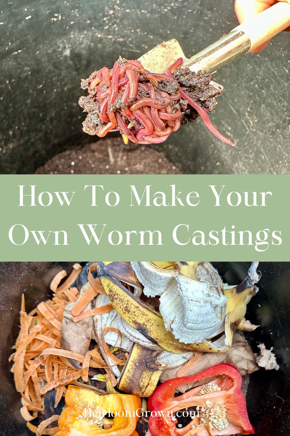 How To Make Worm Castings - Heirloom Grown