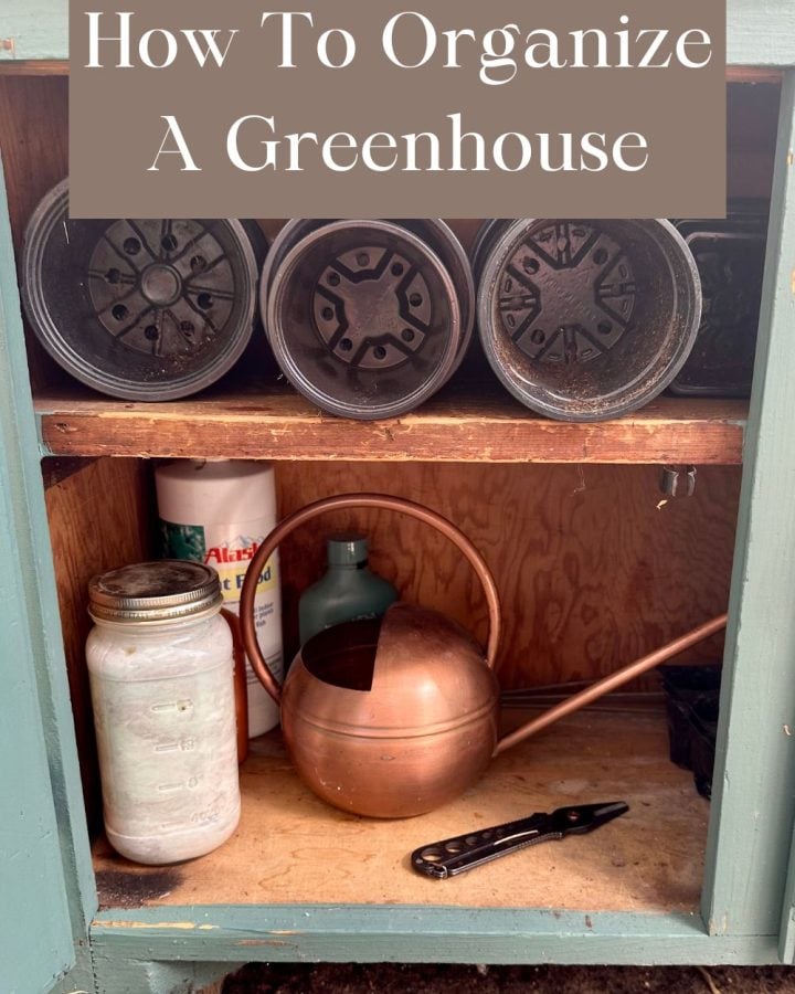 How Much Feed Do Chickens Eat Per Day Heirloom Grown