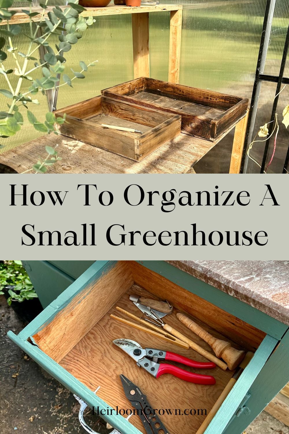 How To Organize A Small Greenhouse - Heirloom Grown