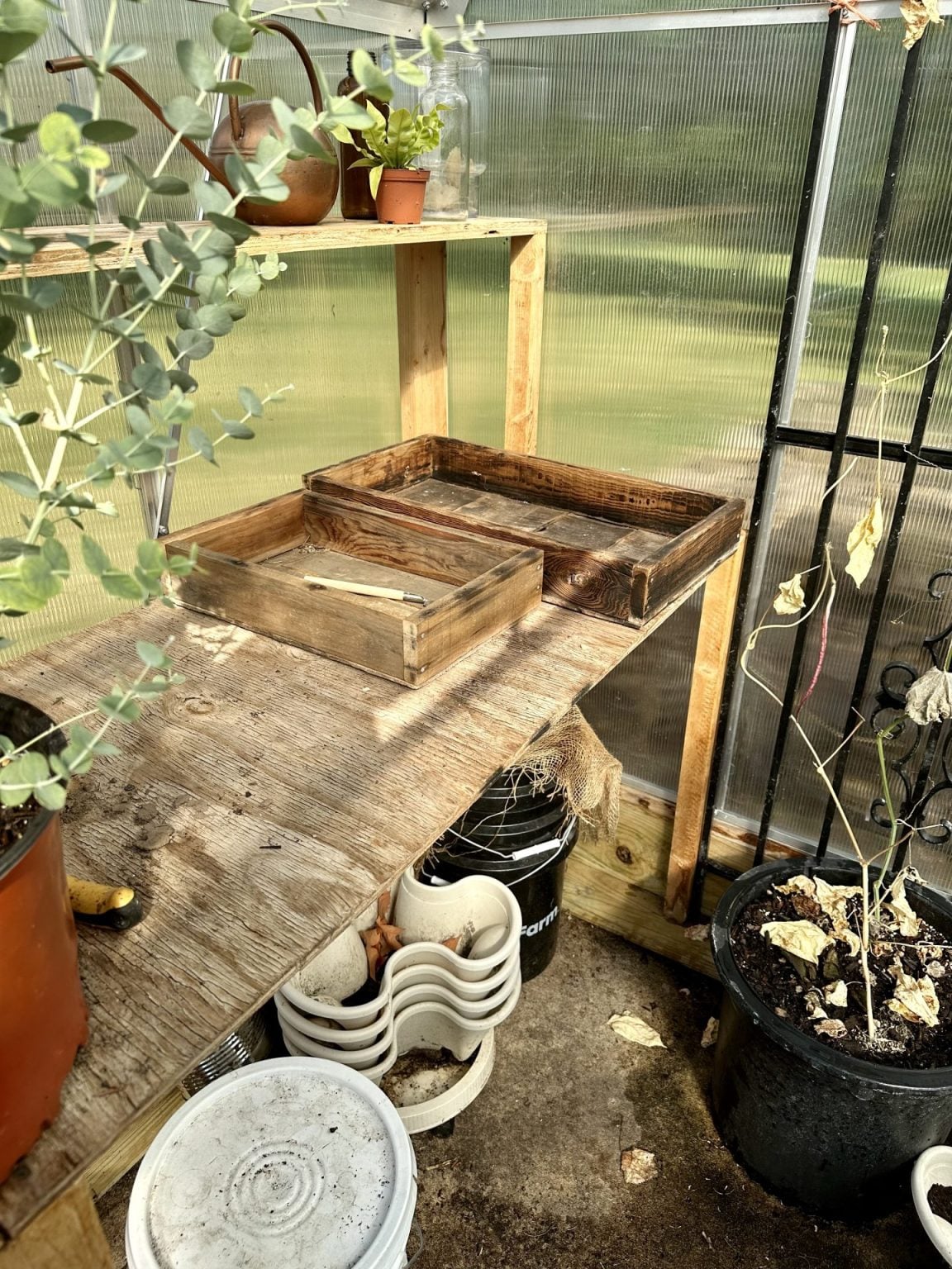 How To Organize A Small Greenhouse - Heirloom Grown
