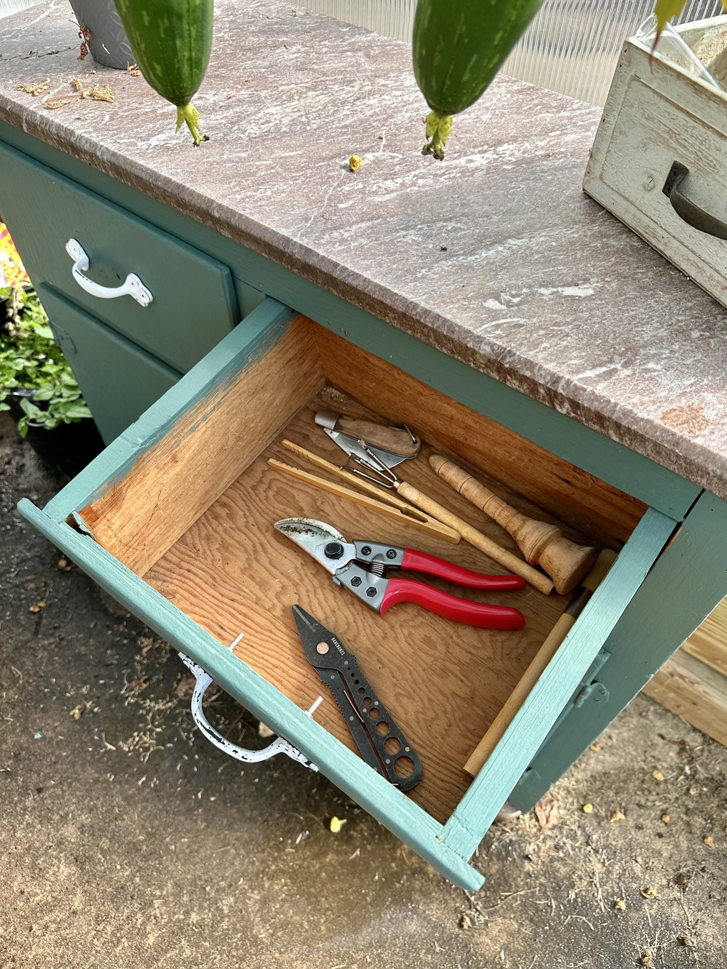 How To Organize A Small Greenhouse - Heirloom Grown