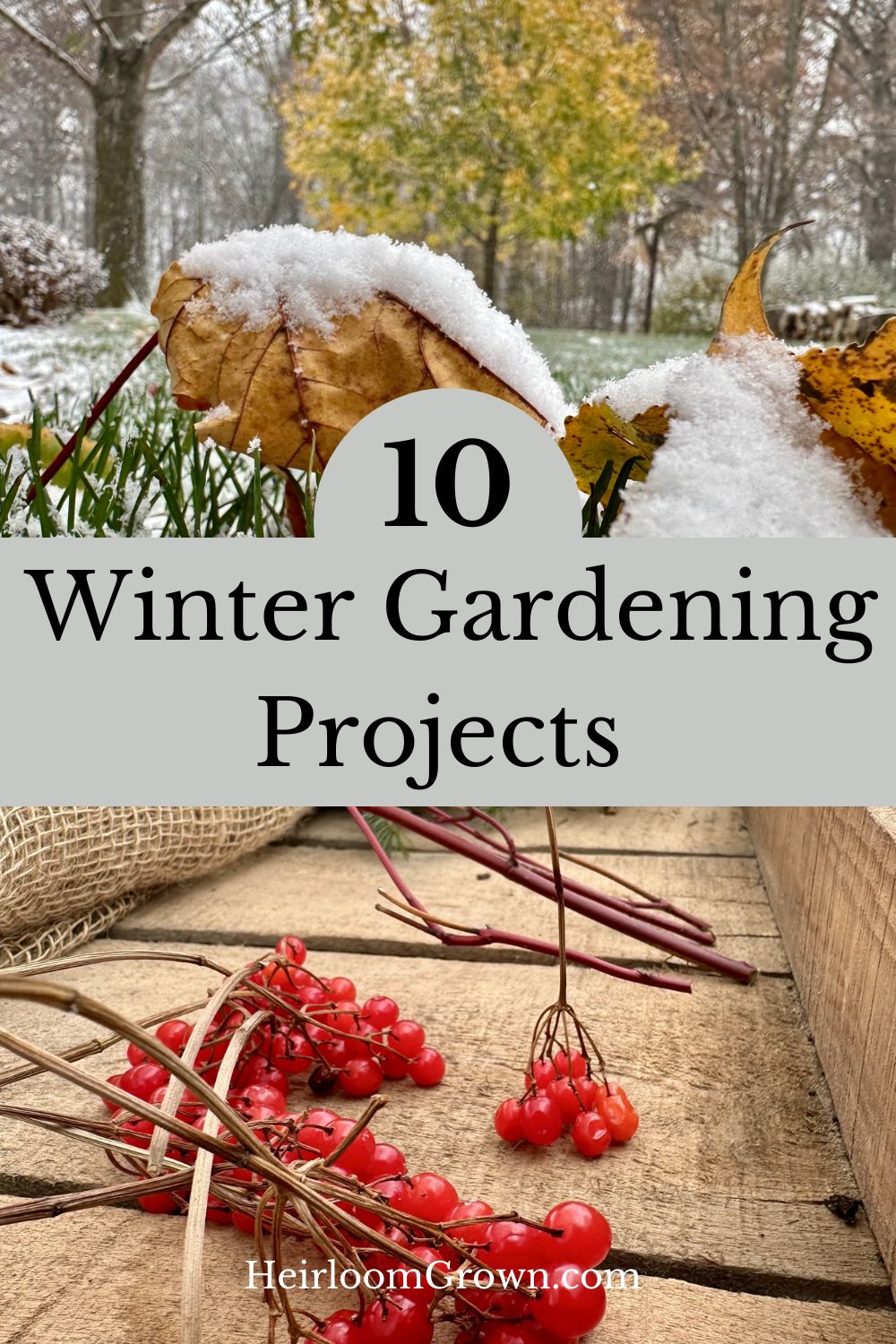 10 Winter Gardening Projects - Heirloom Grown