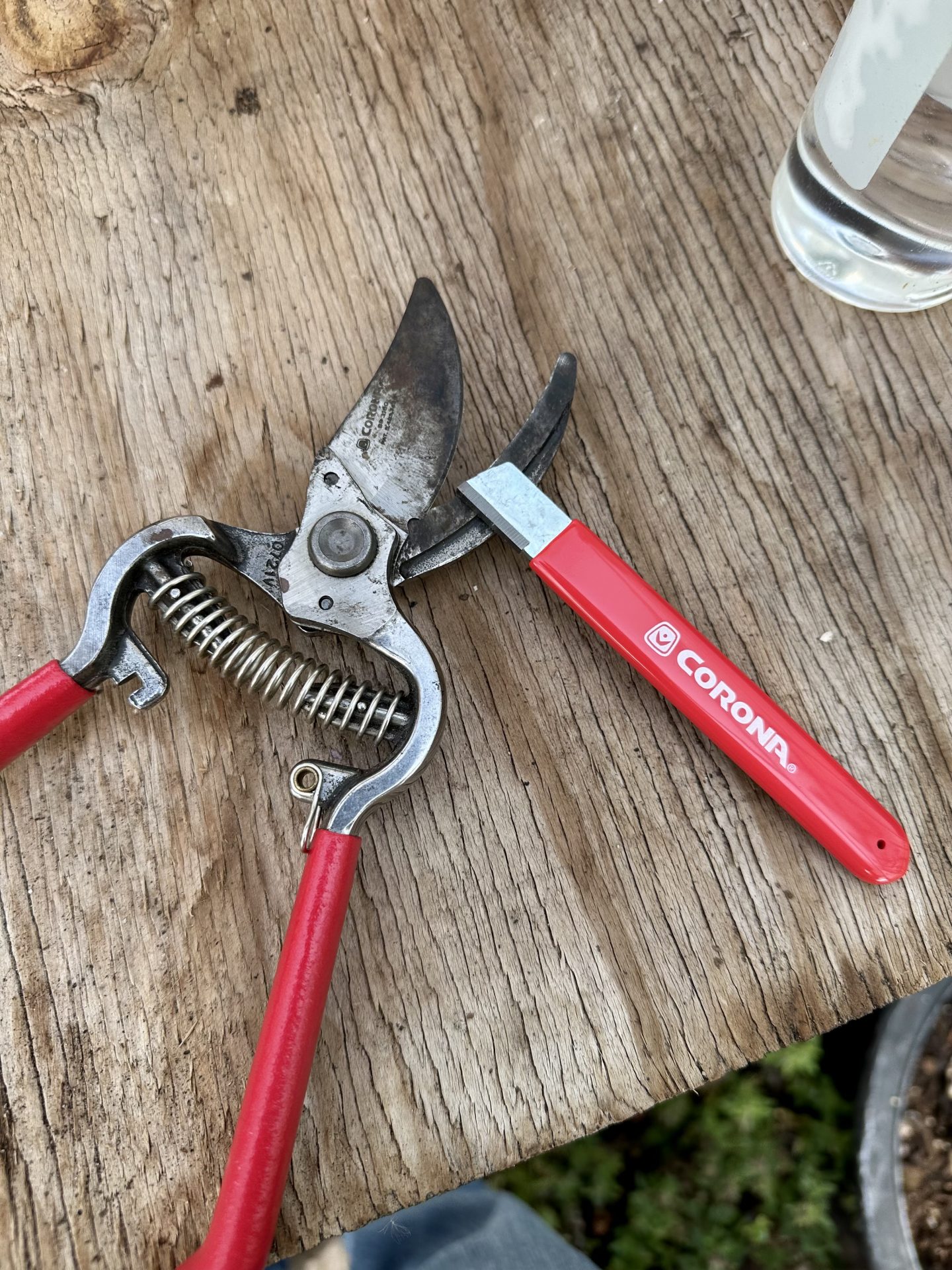 How To Maintain Garden Tools - Heirloom Grown