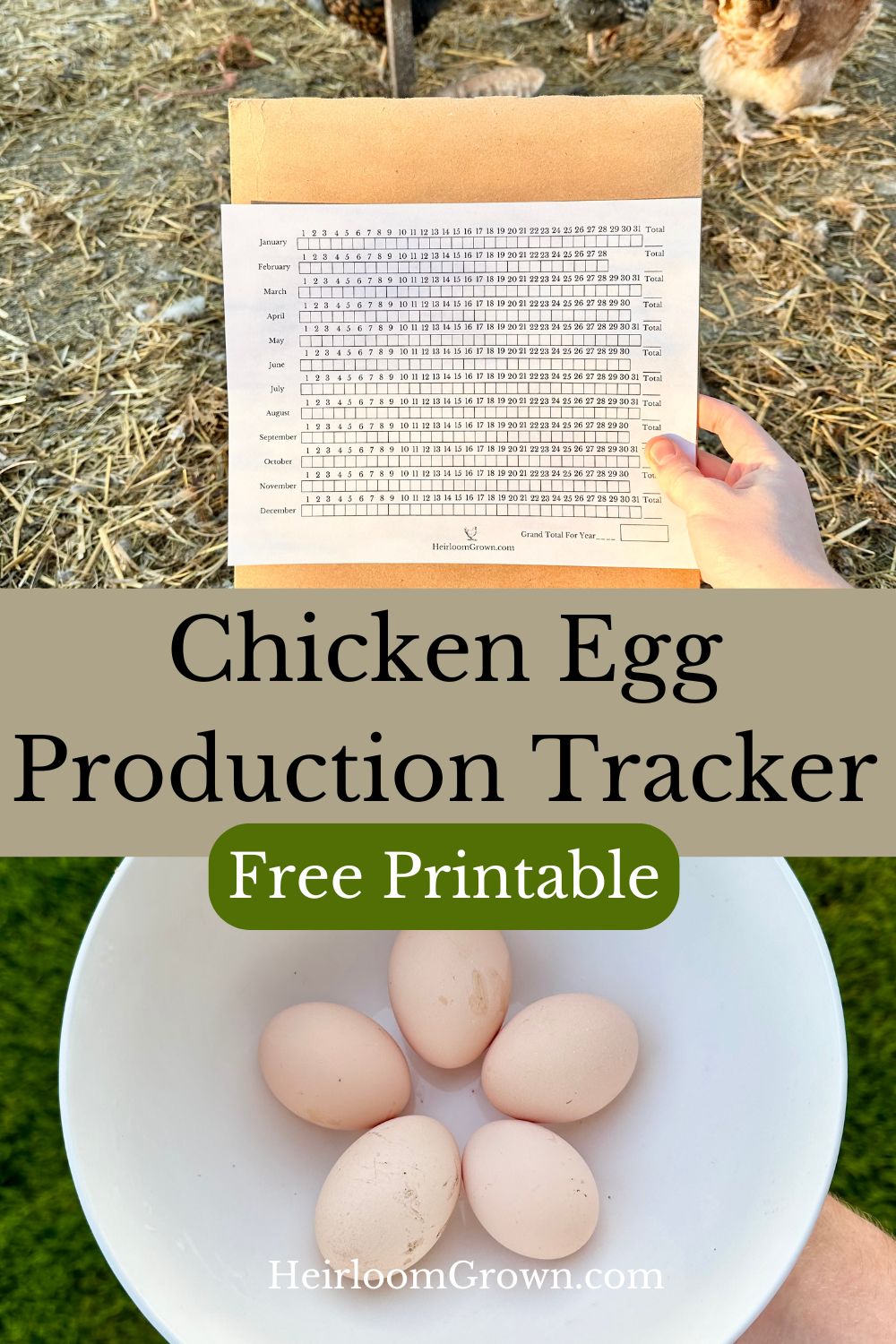 Free Chicken Egg Production Tracker - Heirloom Grown