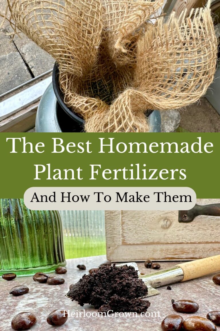 The Best Homemade Plant Fertilizers - Heirloom Grown