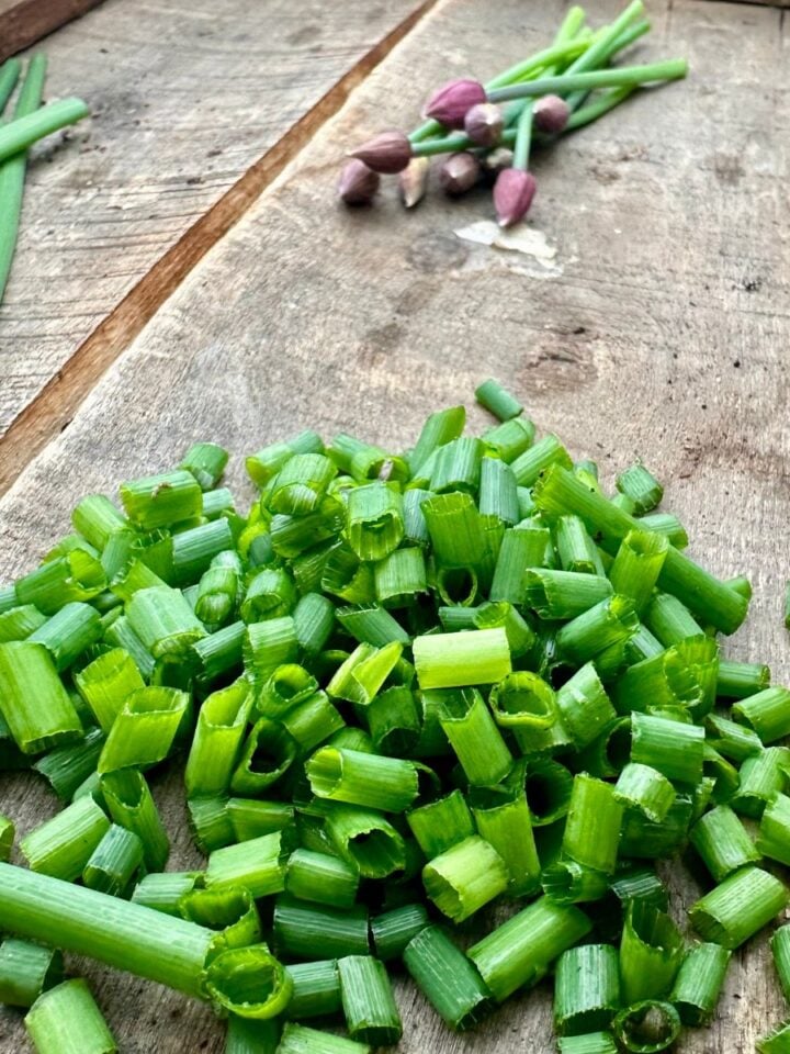 How To Grow Cilantro From Seed - Heirloom Grown