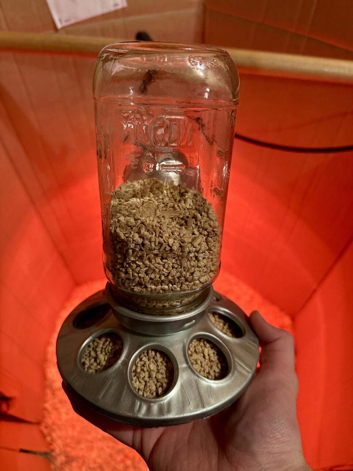 DIY Chick Brooder - Heirloom Grown